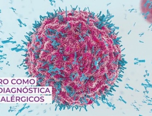 Hemólise no Sangue: entenda as causas e como evitar
